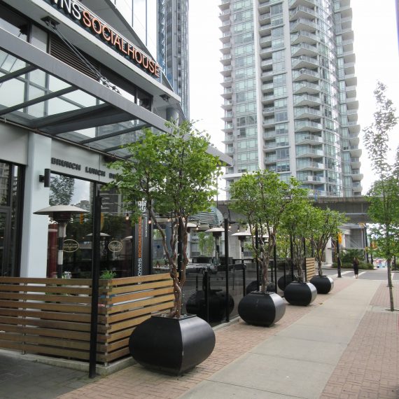 Commercial Greenery | Greenscape Design & Decor