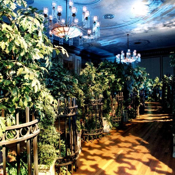 Events Greenery | Greenscape Design & Decor