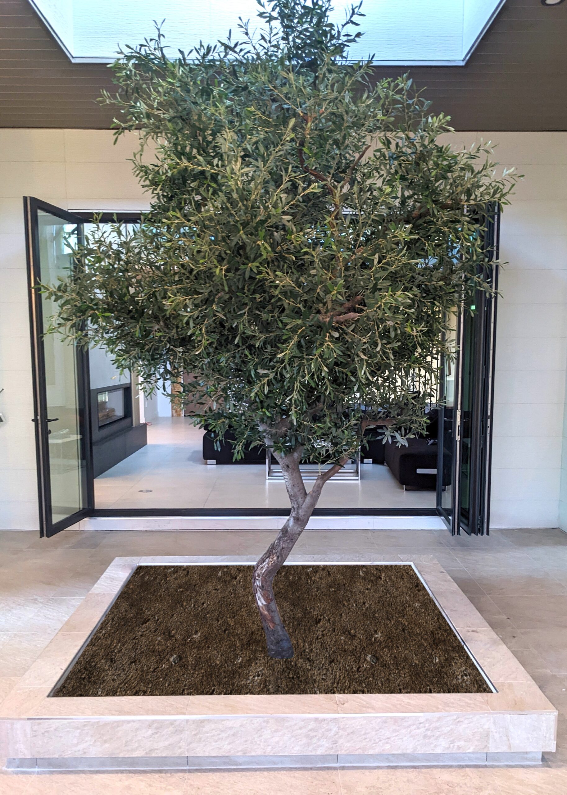 Faux Trees for Commercial and Event Spaces - Greenscape Design & Decor