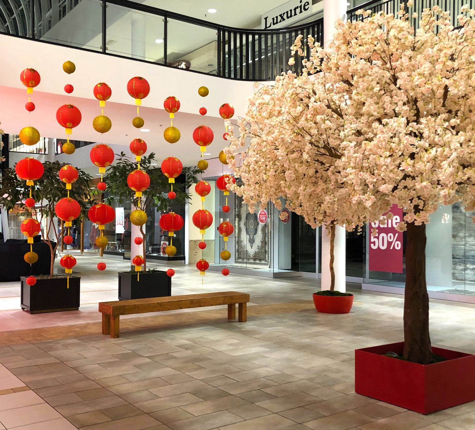 Cherry Blossom Tree & Lantern Display // The City of Lougheed ...