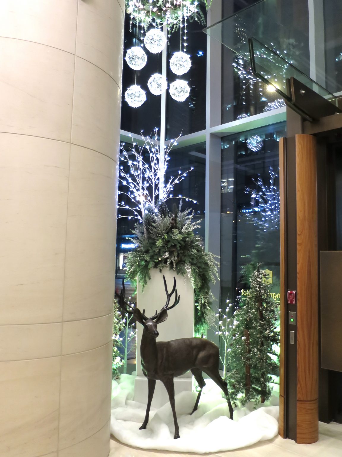 Large Succulent & Greenery Window Display // Hotel Holiday Decor ...