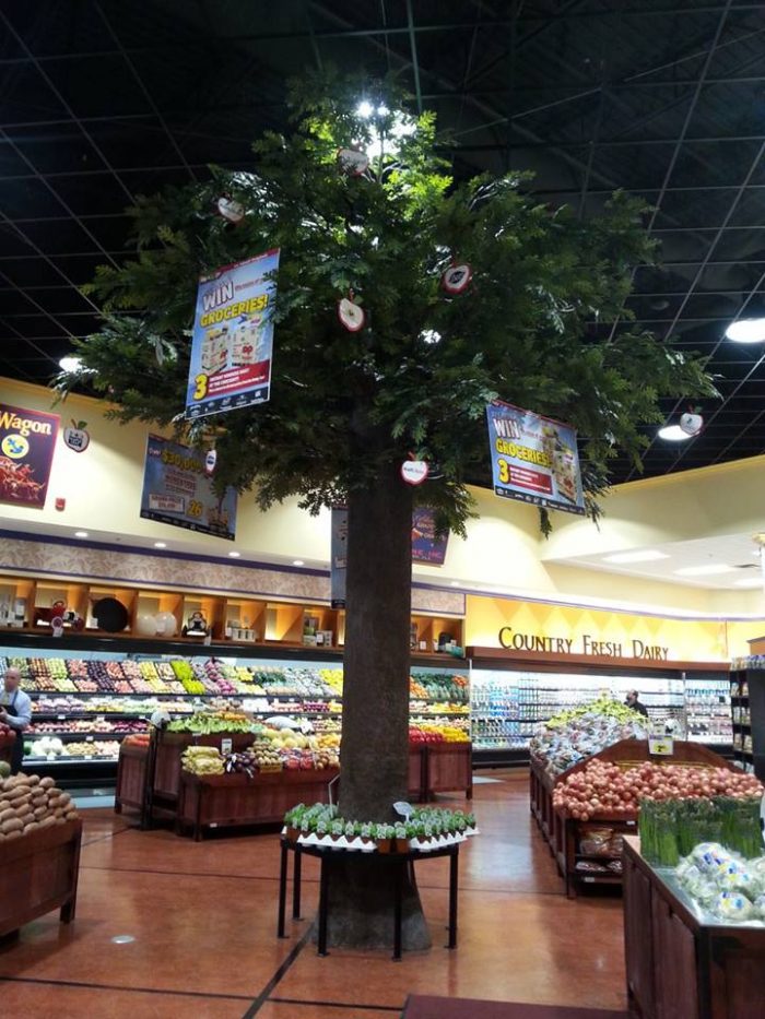 Large Custom Oak Tree // Retail Commercial Design - Greenscape Design ...