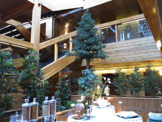 Evergreen Display // Alberta Hospitality Design - Greenscape Design & Decor