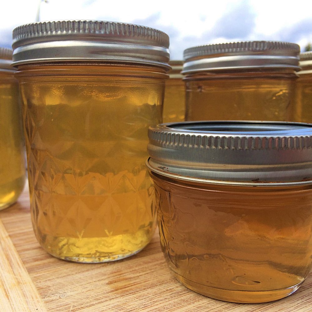 Dandelion Jelly, a DYI project by our florist Jenna | Greenscape Design