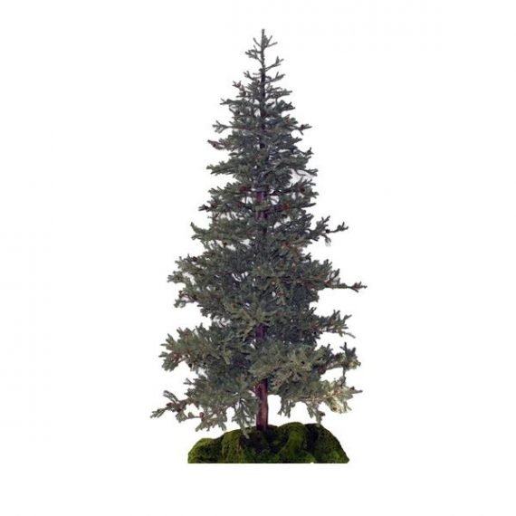 Evergreen Tree - Pine - Greenscape Design & Decor