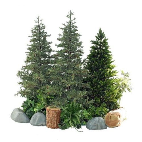 Evergreen Vignette - Greenscape Design & Decor