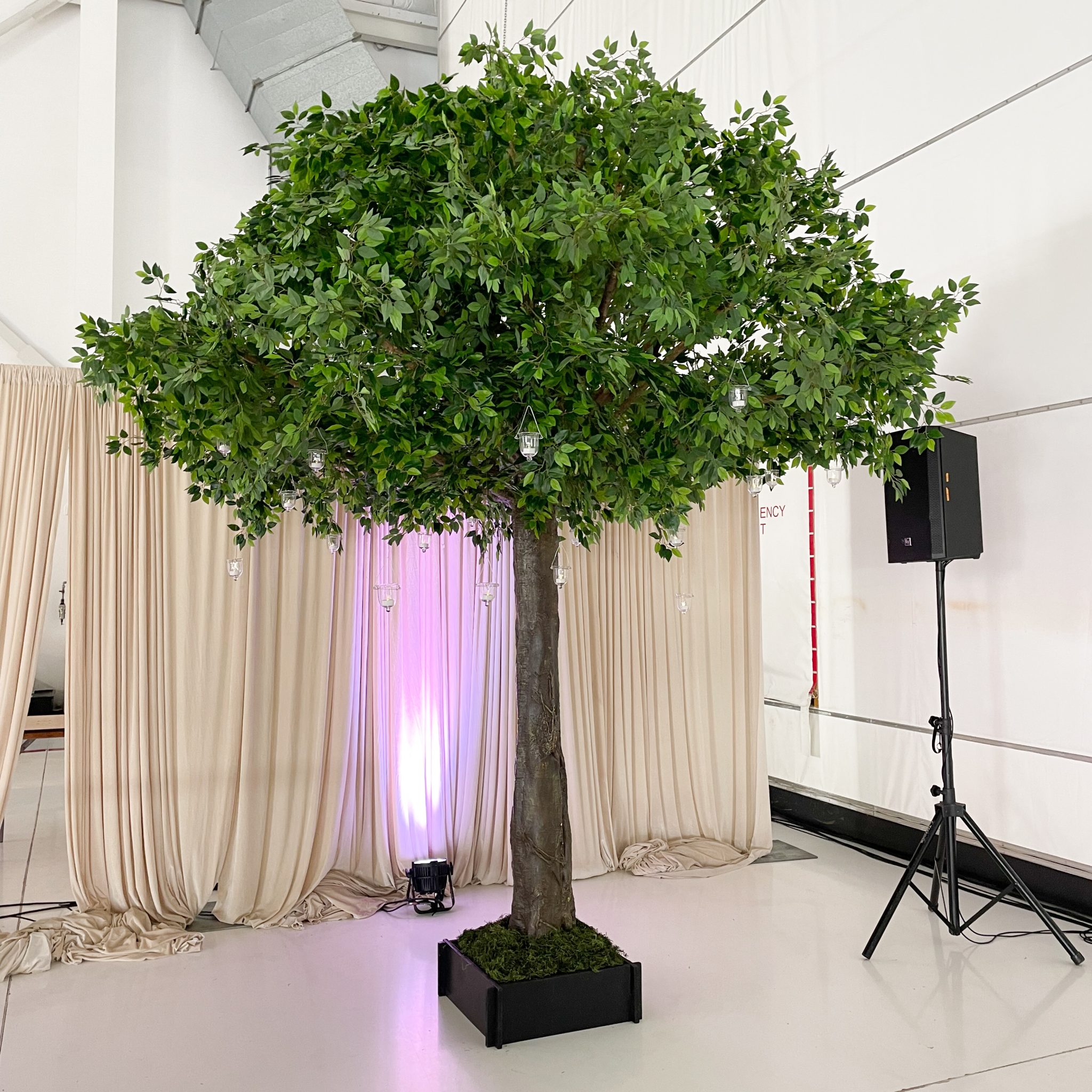 Canopy Tree - Green Ficus - Synthetic Trunk - Greenscape Design & Decor