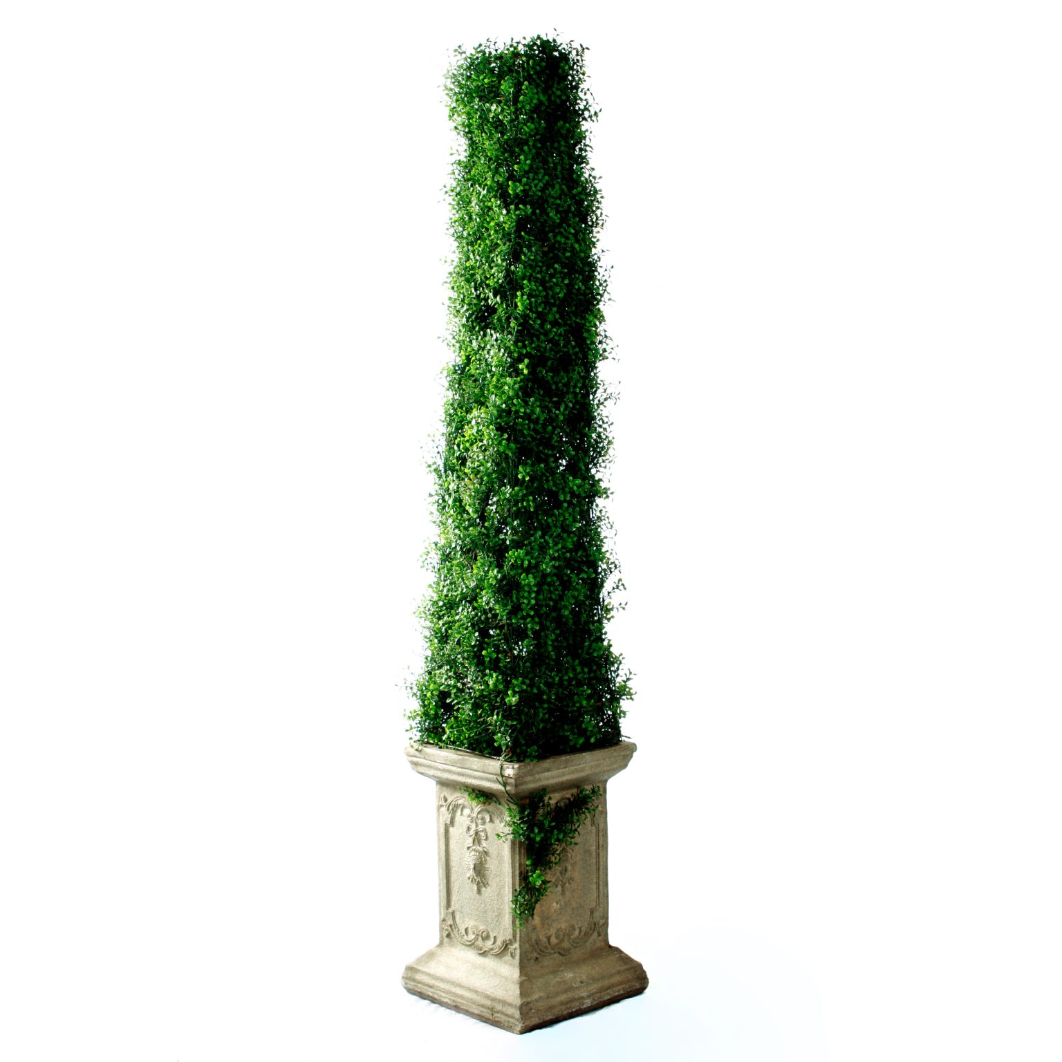 Boxwood Pyramid Topiary on Pedestal - Greenscape Design & Decor