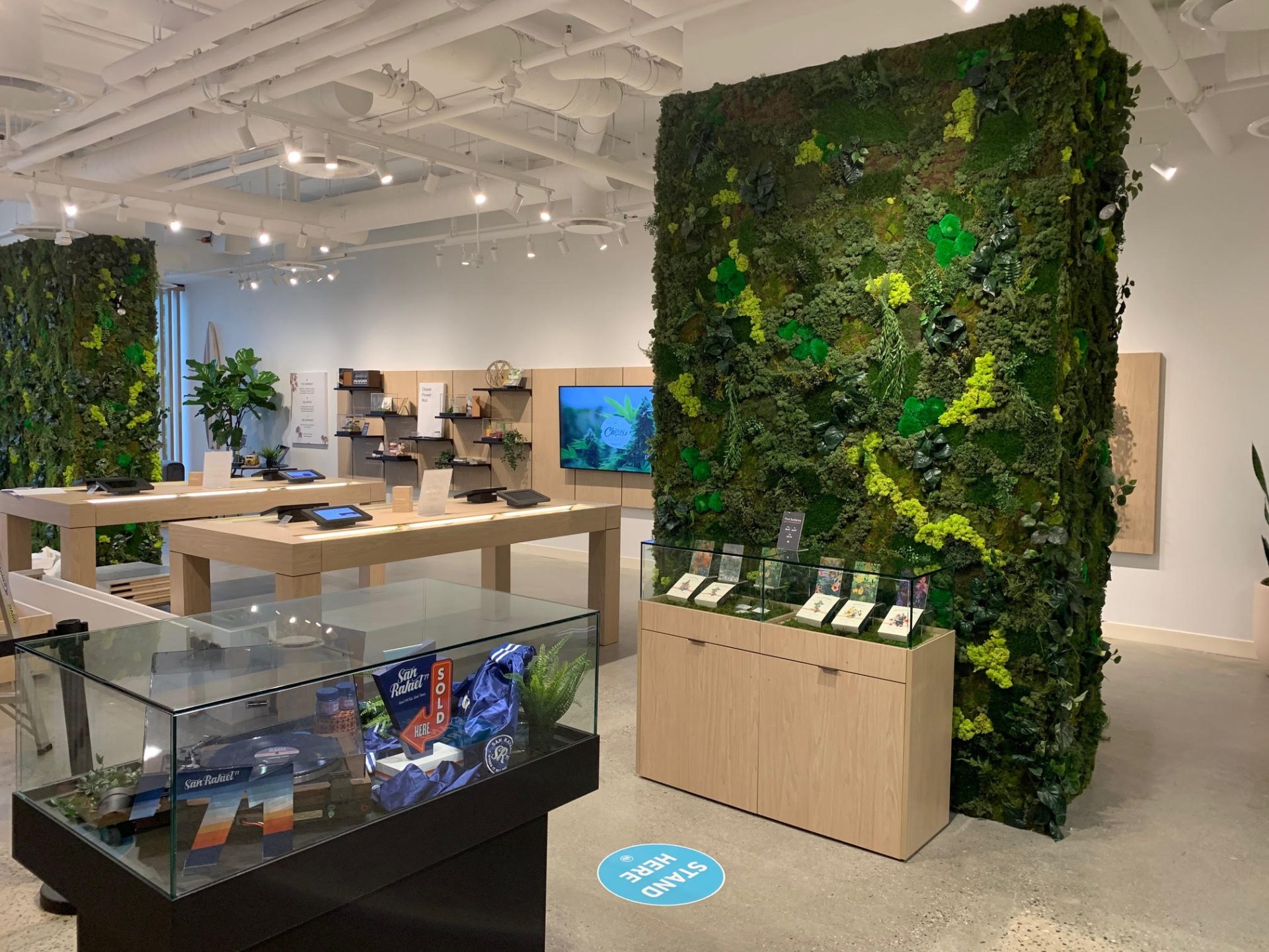 Greenery in Cannabis Store Decor | Greenscape Design