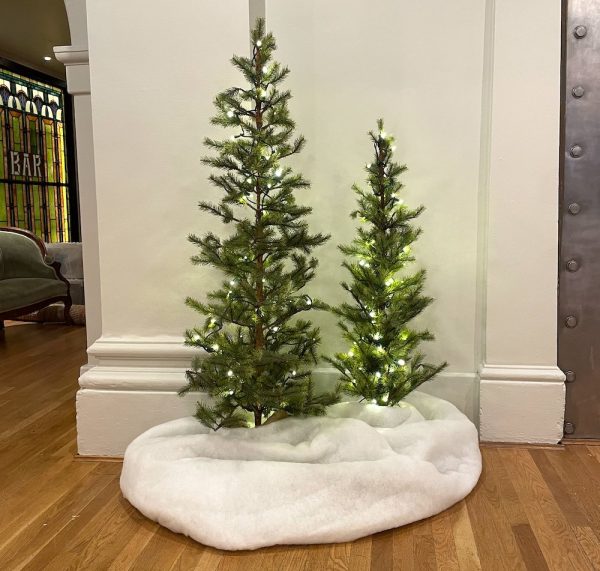 Rentals Greenery | Greenscape Design & Decor