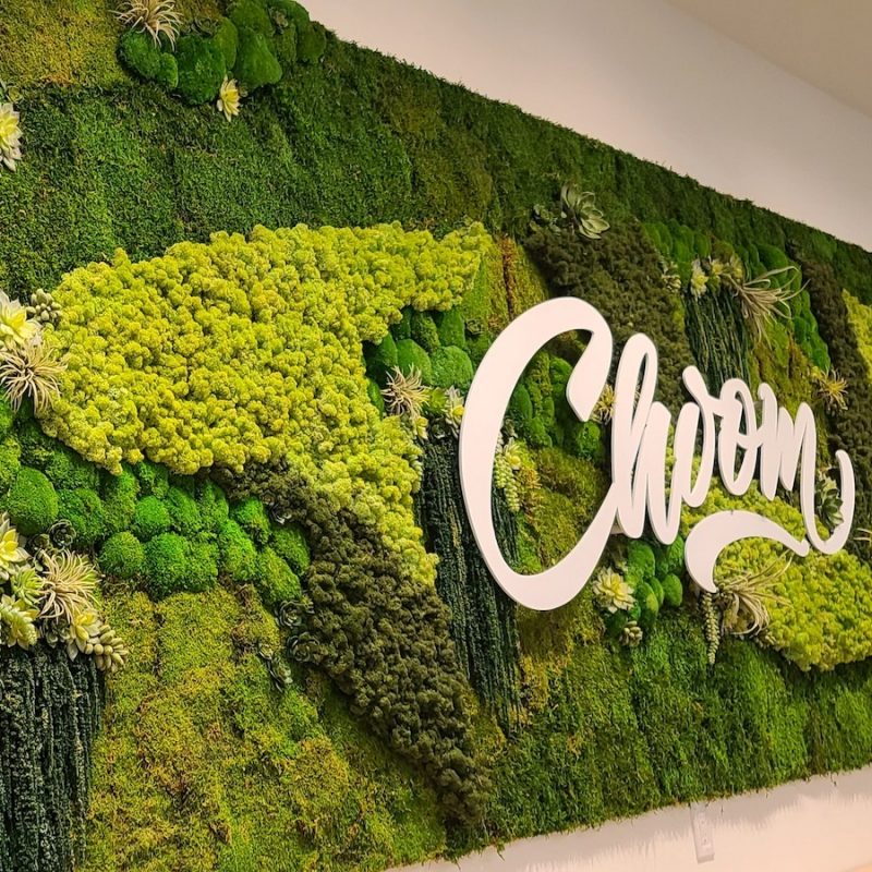 Green & Moss Walls | Greenscape Design & Decor