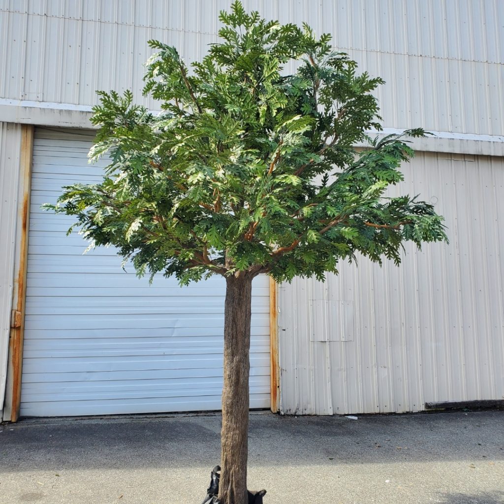 Canopy Tree - Oak - Synthetic Trunk - Greenscape Design & Decor