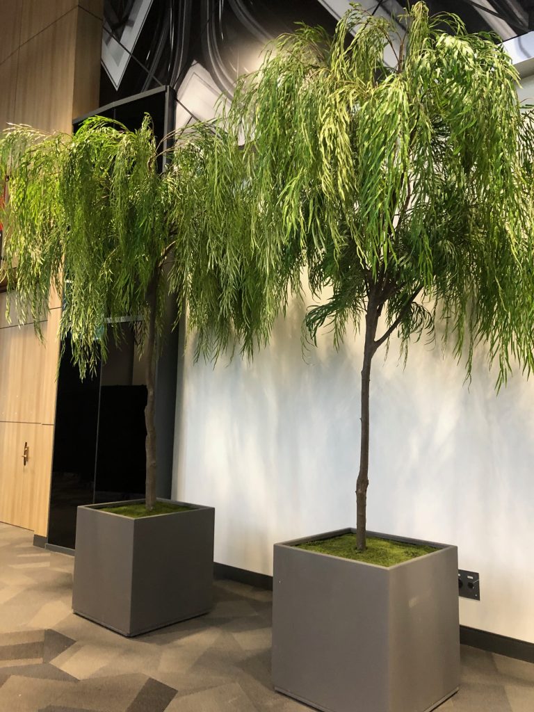 Artificial Trees | Greenscape Design & Decor