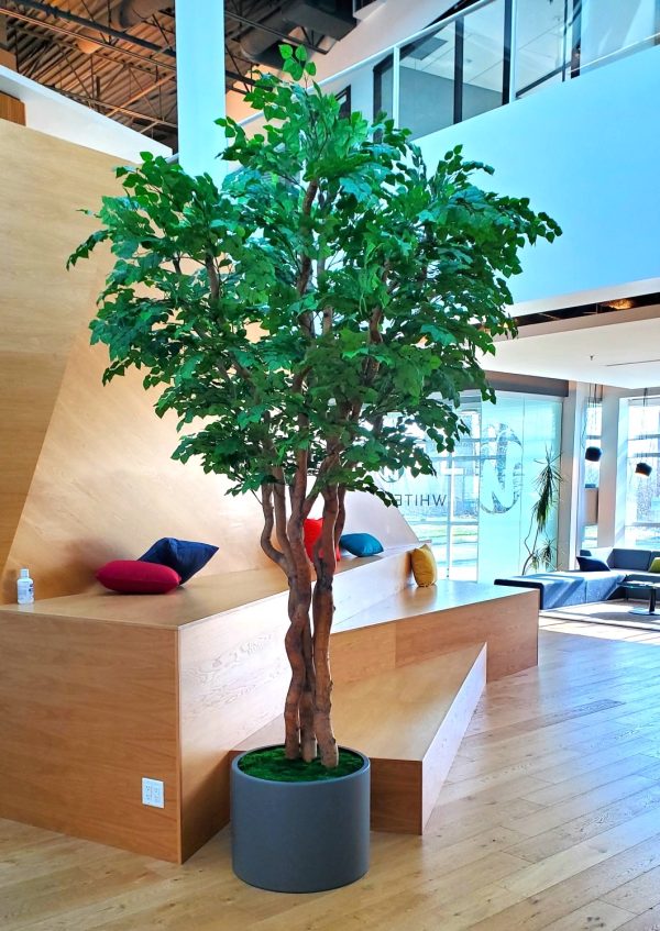 Artificial Trees | Greenscape Design & Decor