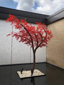 Artificial Trees | Greenscape Design & Decor