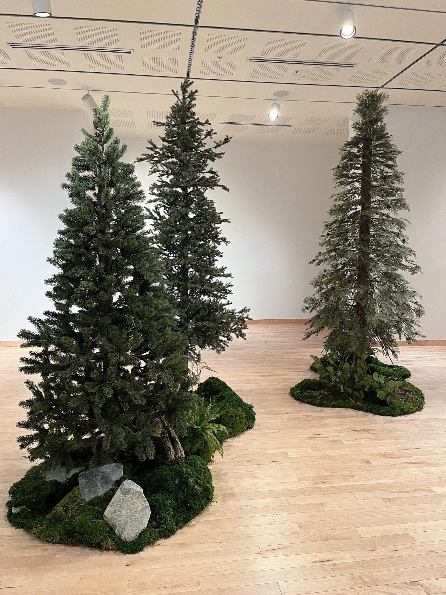 Museum Display - Custom Evergreen Trees - Greenscape Design & Decor