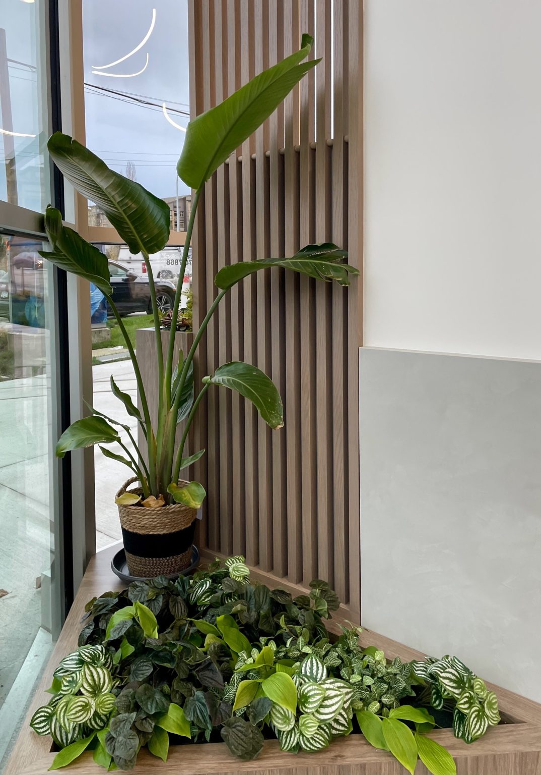 Artificial Greenery Window Display - Greenscape Design & Decor