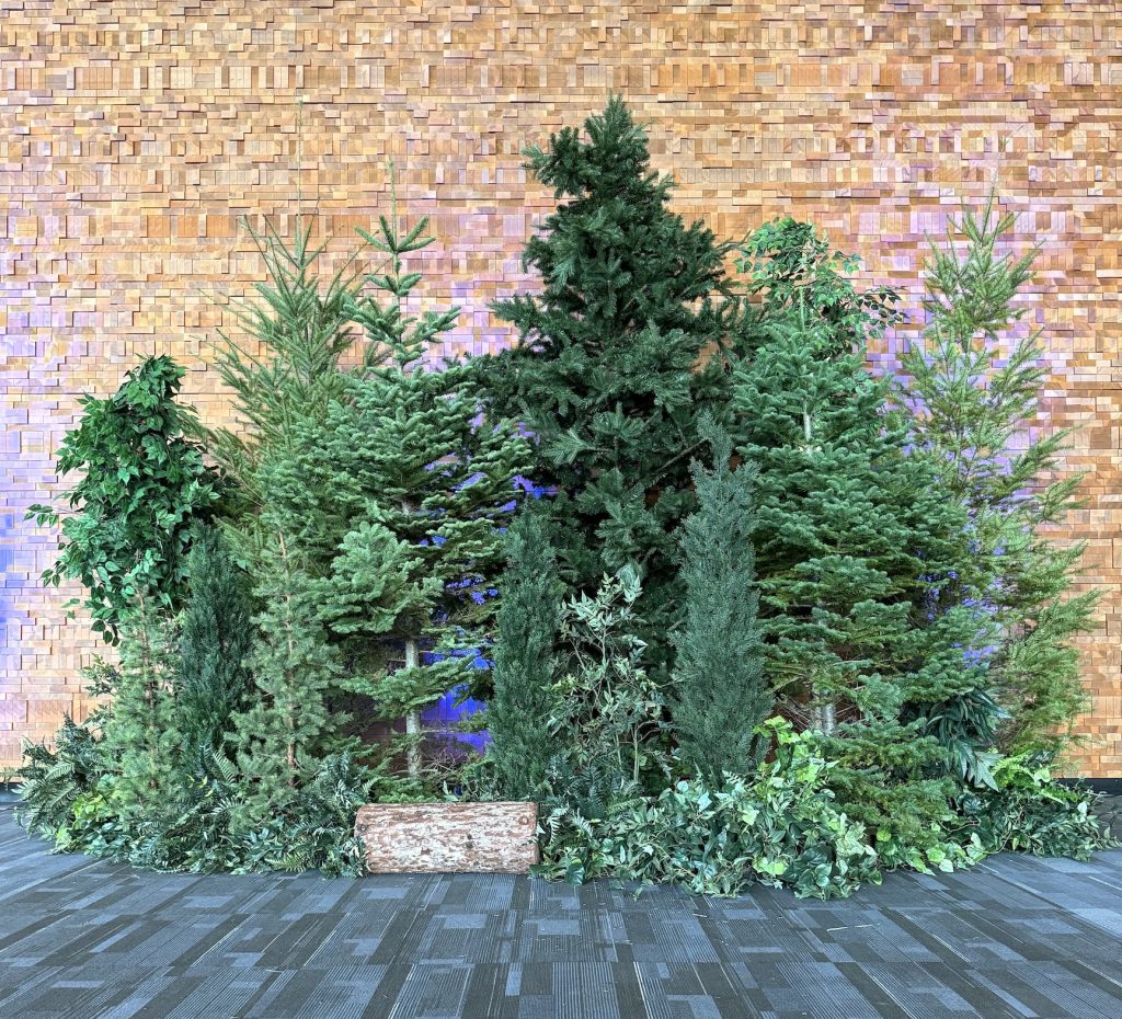 Pacific Northwest Trees - Greenscape Design & Decor