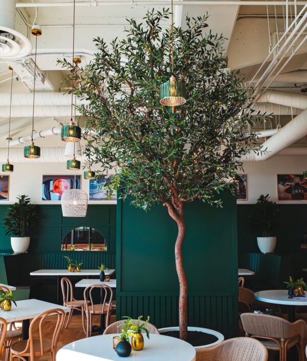 2026 Greenery Trends in Restaurant Interior Design - Greenscape Design ...